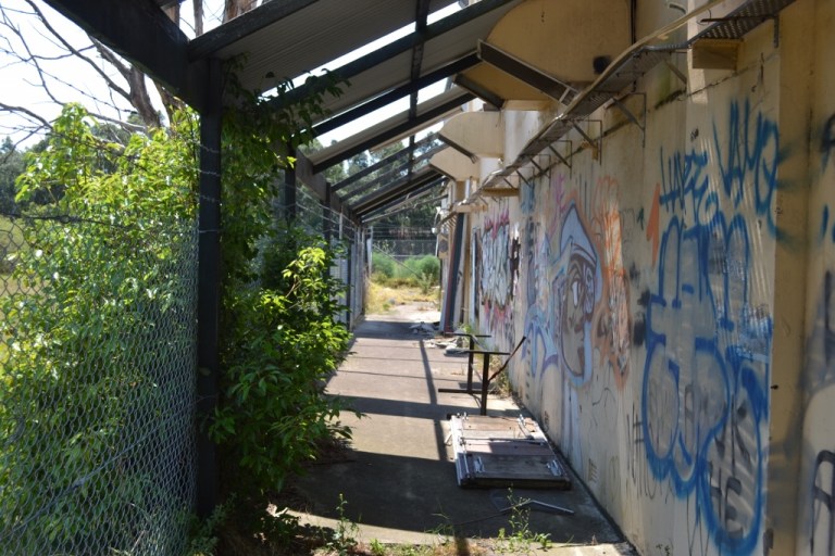 Homebush Ice Rink | Past/Lives of the Near Future